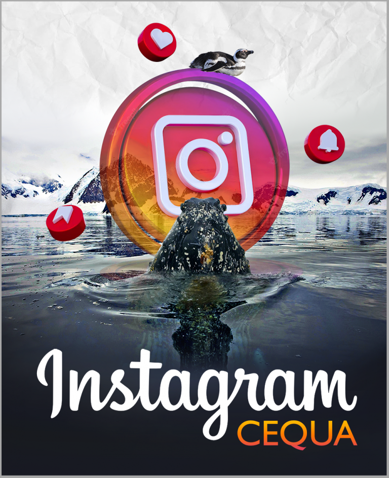 Fundación Cequa – Centro de Estudios del Cuaternario Fuego-Patagonia y ...